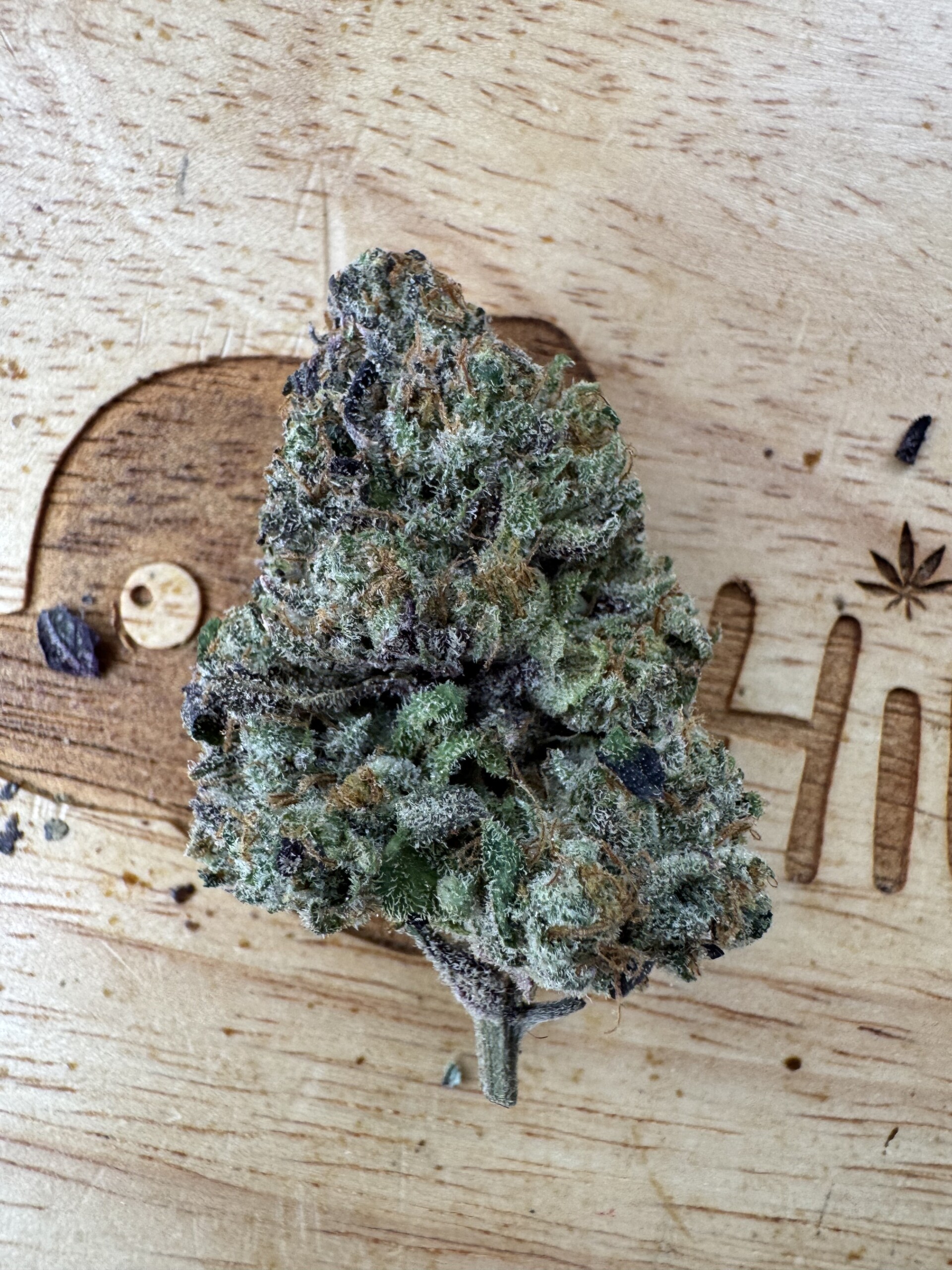 Magic Ness - Strain Review - HighThailand